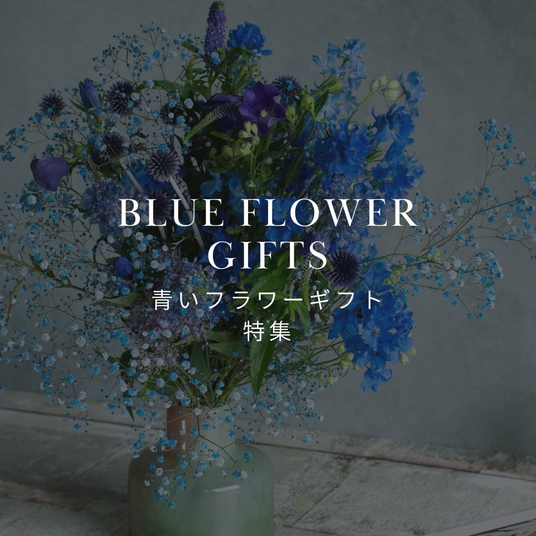 Limited time offer! How about some "blue flowers" to brighten up your ...